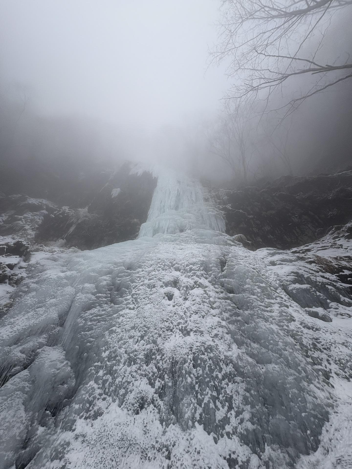 荒船山（経塚山） / Hassyさんの荒船山・物語山・大屋山の活動データ | YAMAP / ヤマップ