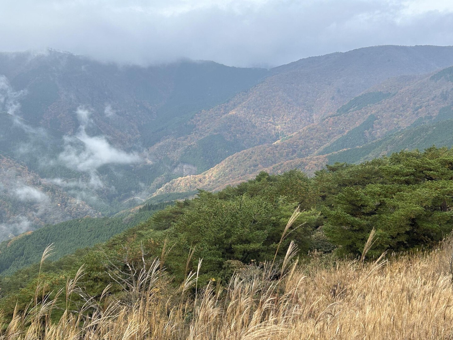 達磨ヶ峰・フトウガ峰・段ヶ峰 / manabossさんの段ヶ峰・笠杉山・千町ヶ峰の活動データ | YAMAP / ヤマップ