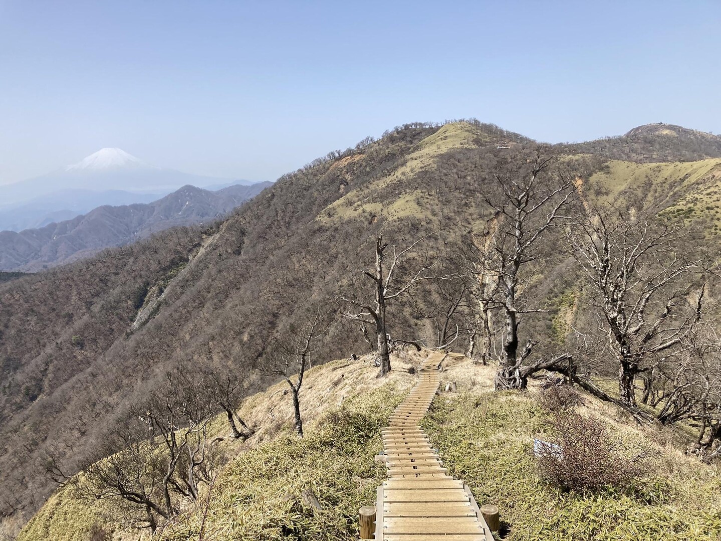 ヒルトンTRY🏃堀山・塔ノ岳・日高・竜ヶ馬場・丹沢山・不動ノ峰・棚沢ノ頭・鬼ヶ岩ノ頭・蛭ヶ岳 / (^O^)さんの塔ノ岳・丹沢山・蛭ヶ岳の活動データ | YAMAP / ヤマップ