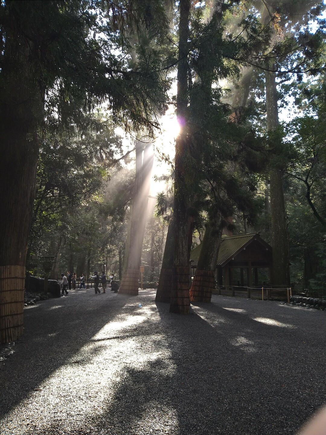 最近良くない事が多い‥怪我もよくする‥ ... / lightさんのモーメント | YAMAP / ヤマップ