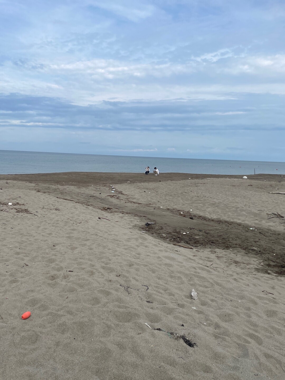 Sea to 弥彦山（裏参道） / goriさんの弥彦山・多宝山・雨乞山の活動データ | YAMAP / ヤマップ