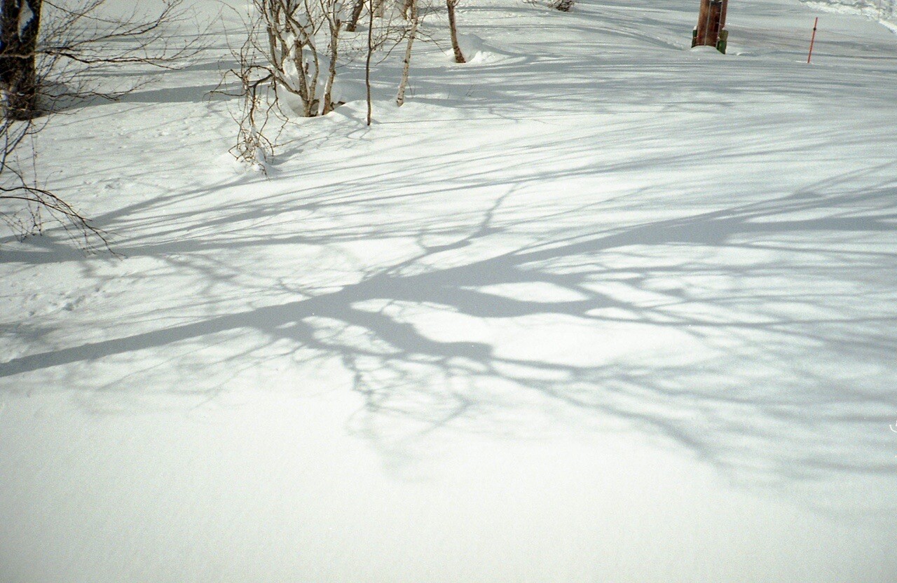 2021.01.26(火) 15:34 / mmmさんのモーメント | YAMAP / ヤマップ