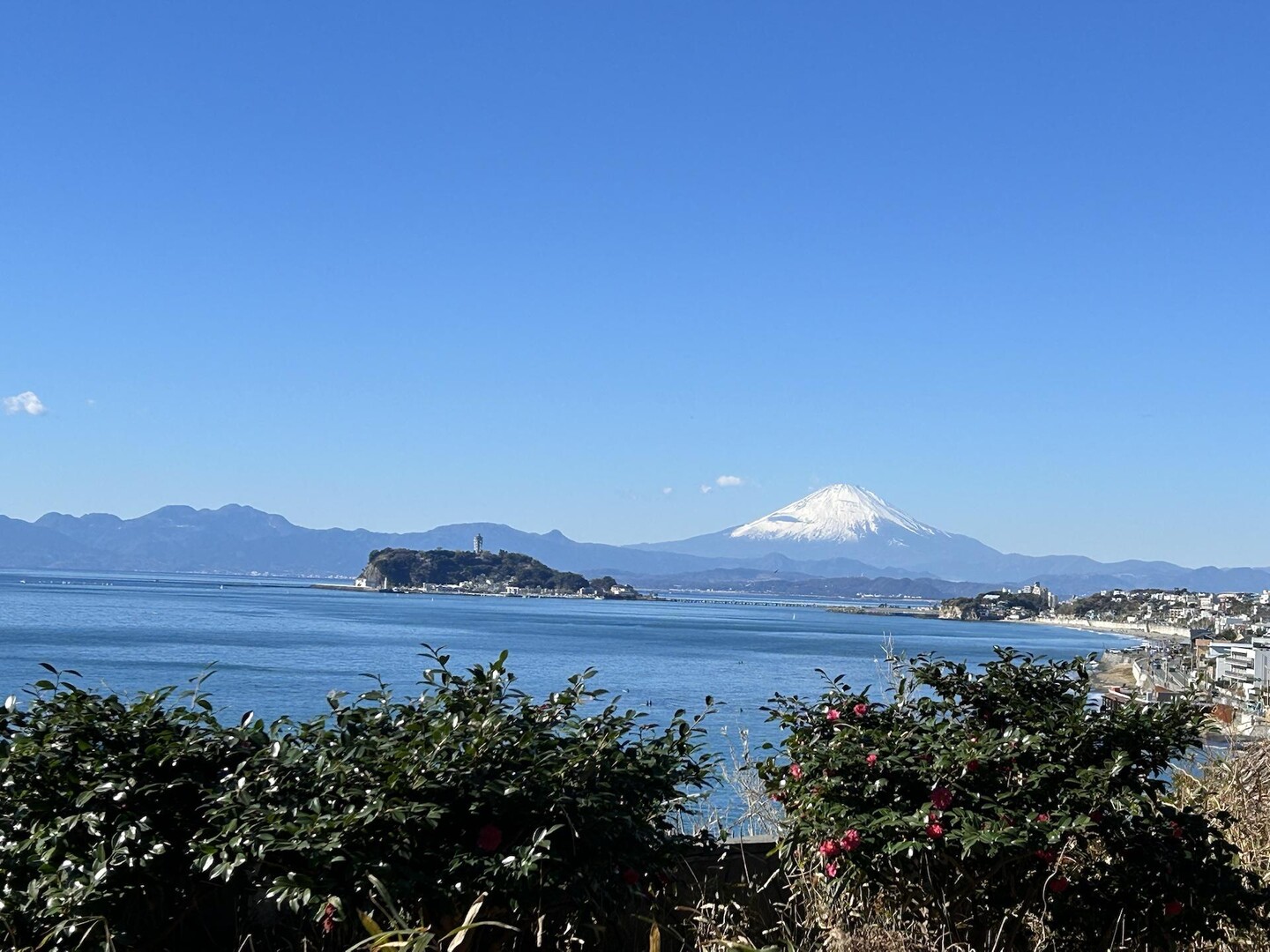 鎌倉アルプス（大平山・天台山）-2025-01-11 / Mitchさんの鎌倉アルプス（大平山・天台山）の活動データ | YAMAP / ヤマップ