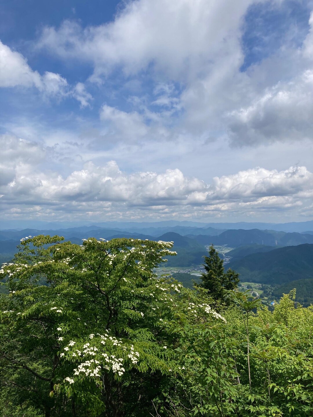 天狗棚 / Tigerさんの天狗棚・1200高地（天狗ノ奥山）・碁盤石山の活動データ | YAMAP / ヤマップ