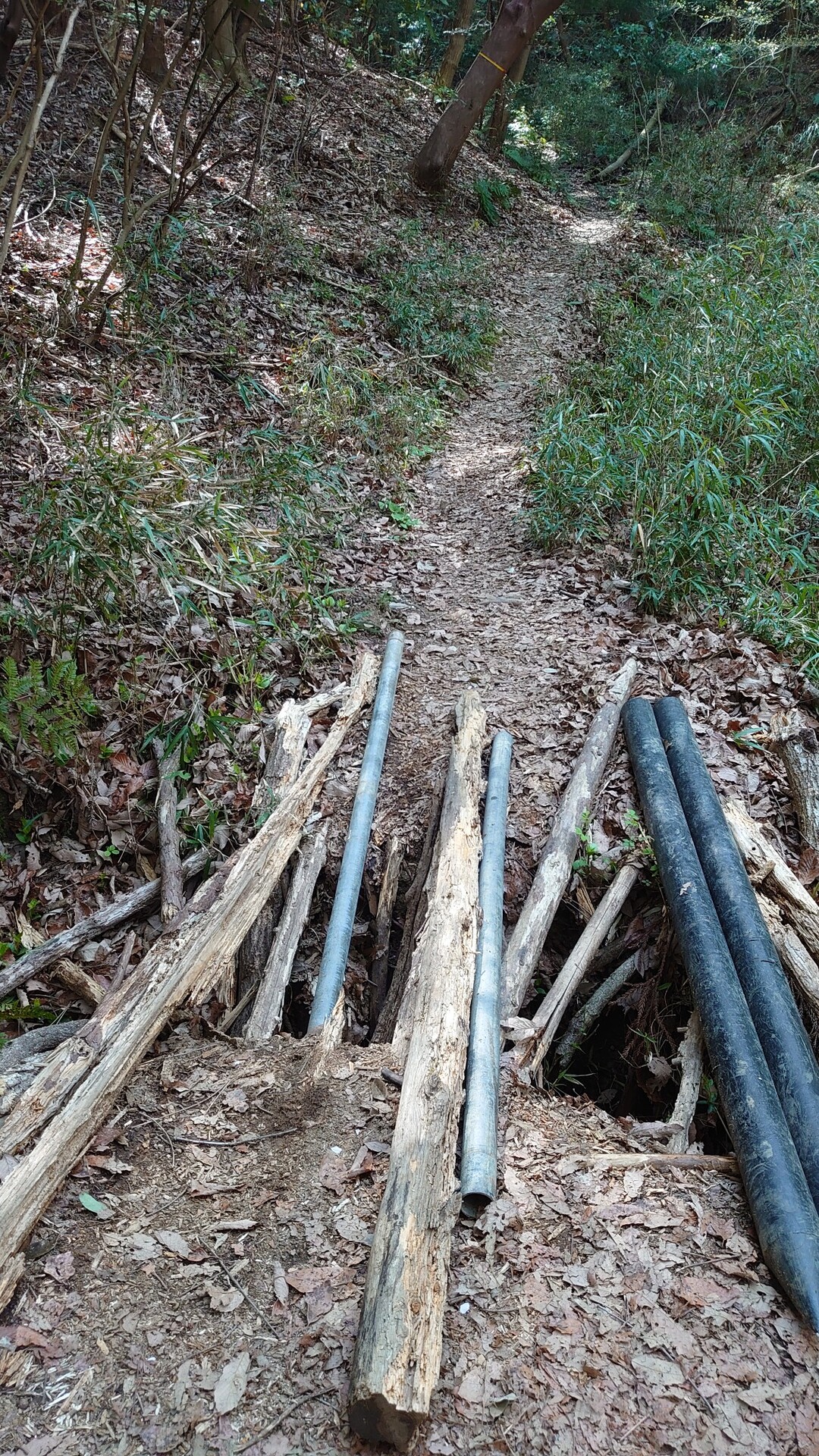 TKYMさんの投稿したフィールドメモ | YAMAP / ヤマップ