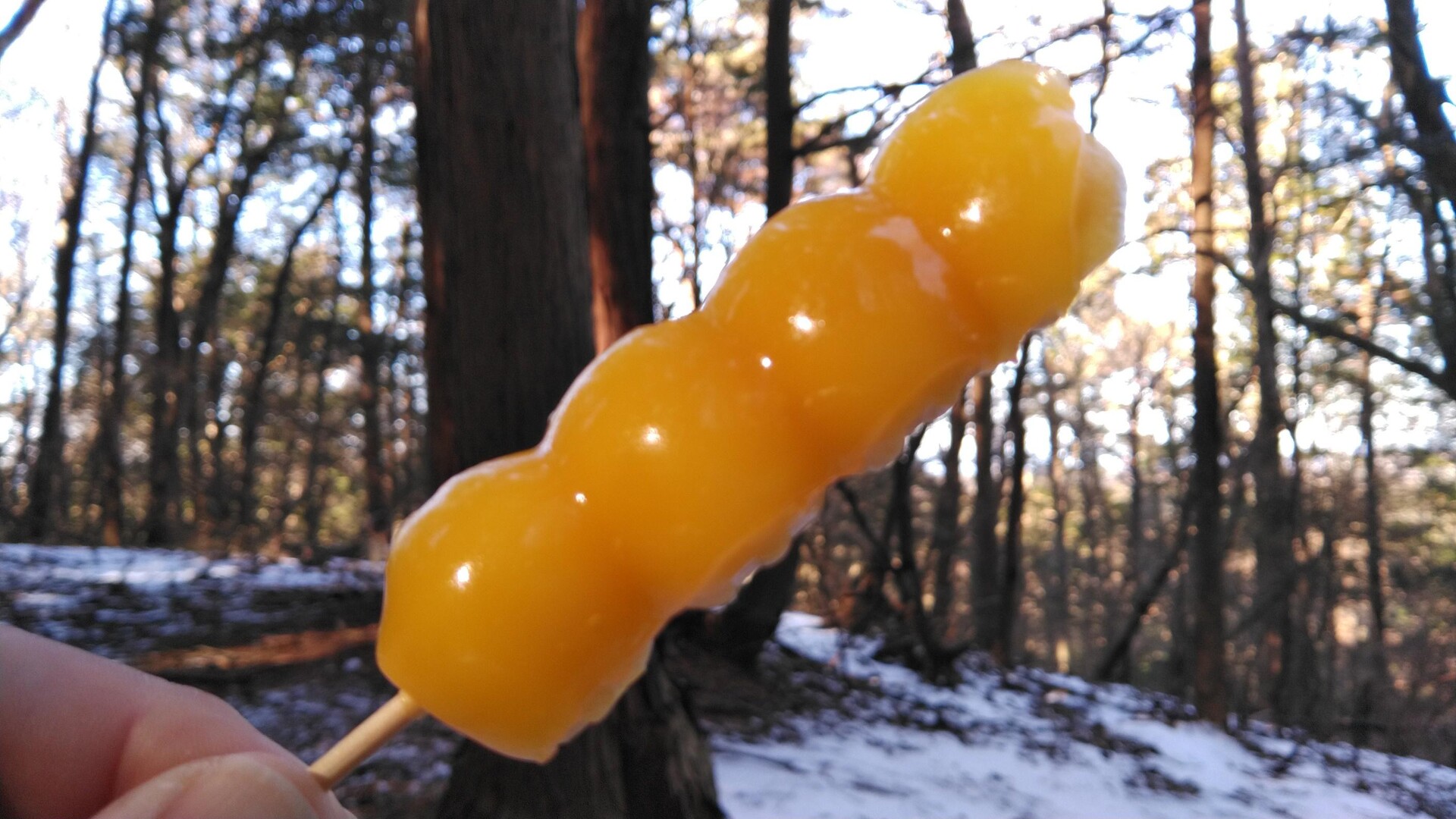 空が青いよ！三鈷室山！ / kohirouさんの三鈷室山の活動データ | YAMAP / ヤマップ