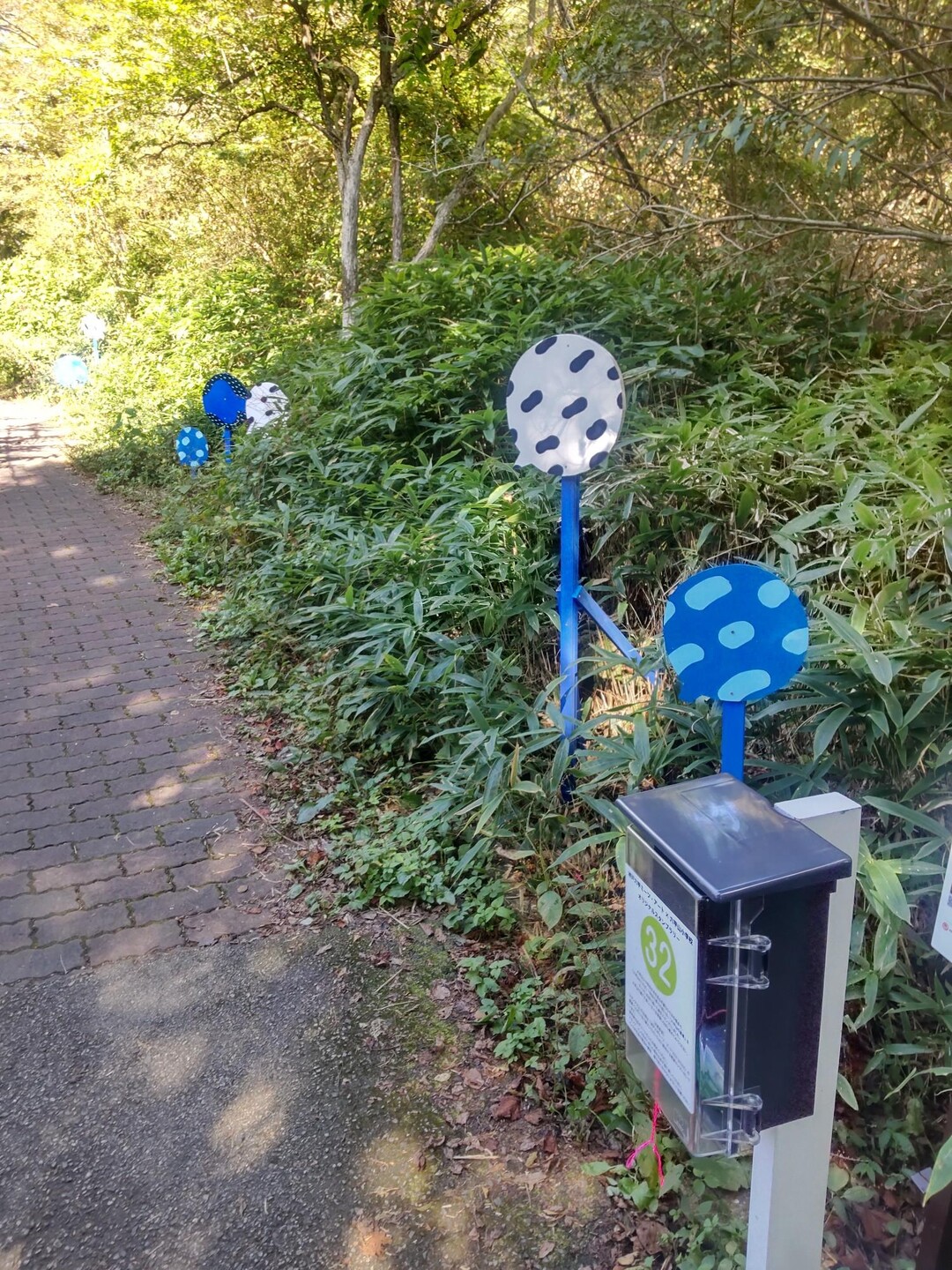 miyukyさんの投稿したフィールドメモ | YAMAP / ヤマップ