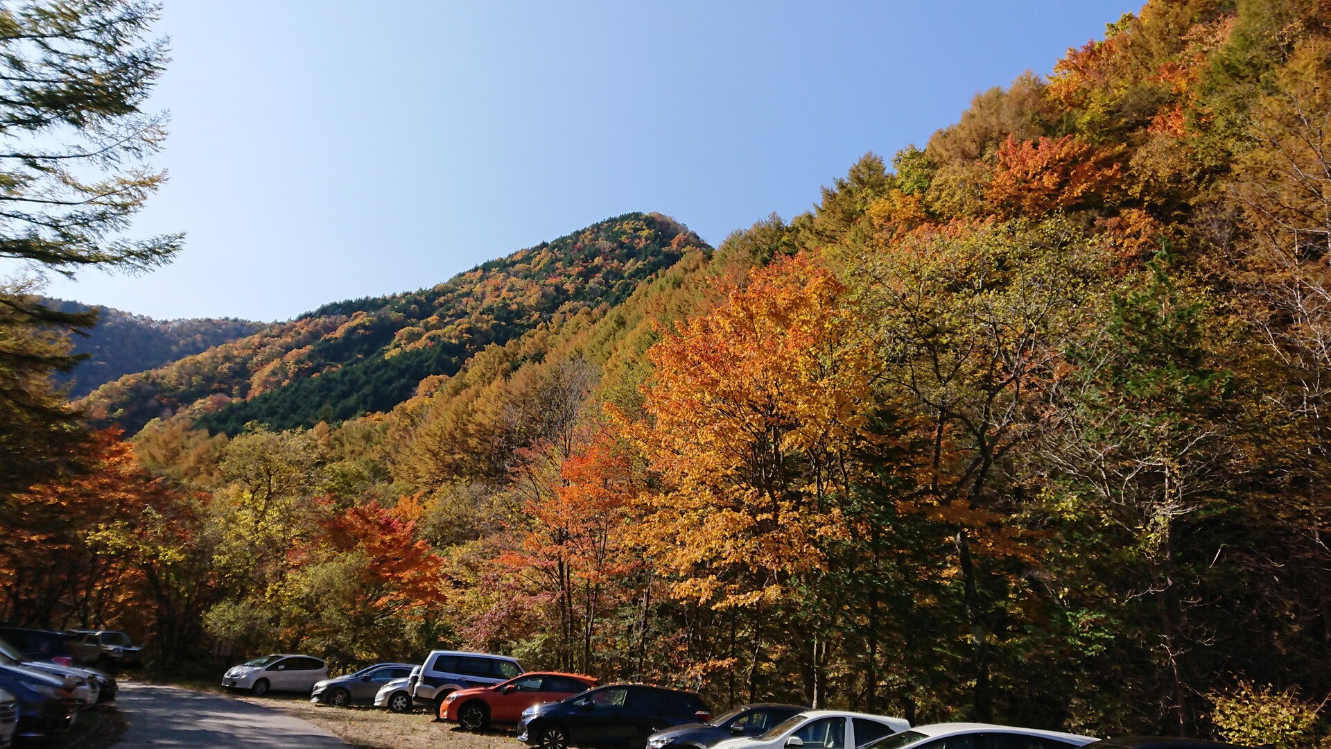 恵那山 / mochiさんの恵那山・大判山・神坂山の活動データ | YAMAP / ヤマップ