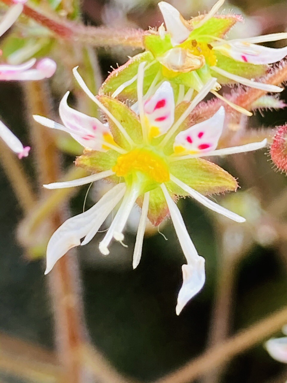 mikikociaoのページ | YAMAP / ヤマップ