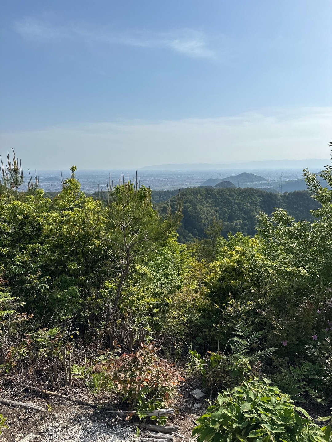 Jangers ジャンガースさんの投稿したフィールドメモ | YAMAP / ヤマップ