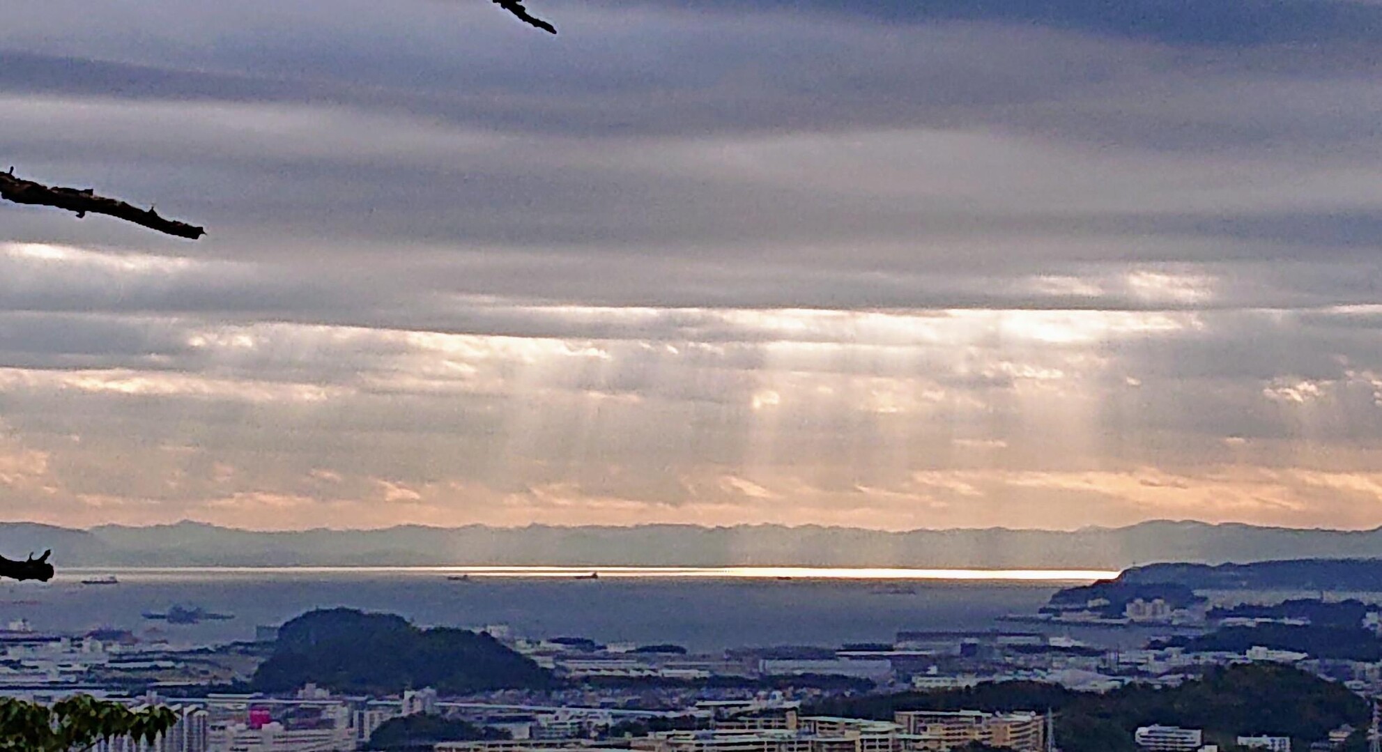 大丸山・天園・大平山・鷲峰山・勝上山 / GuPOaraiさんの鎌倉アルプス（大平山・天台山）の活動データ | YAMAP / ヤマップ