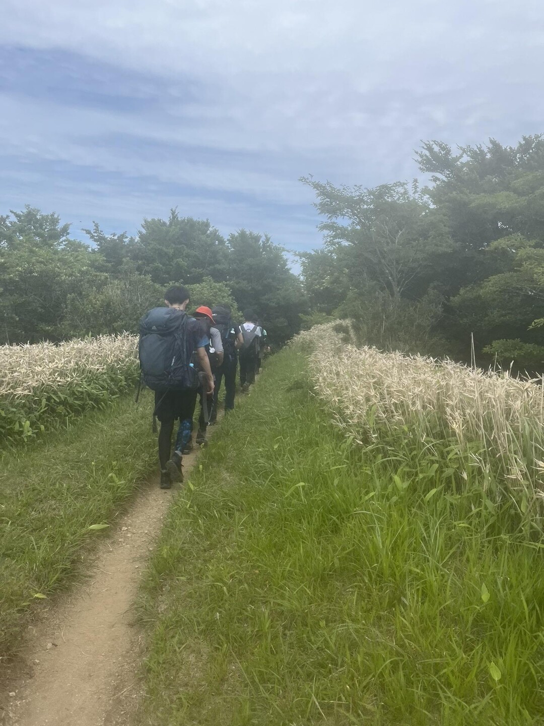 雷山。20kg歩荷 / りゅうせいさんの雷山・井原山の活動データ | YAMAP / ヤマップ