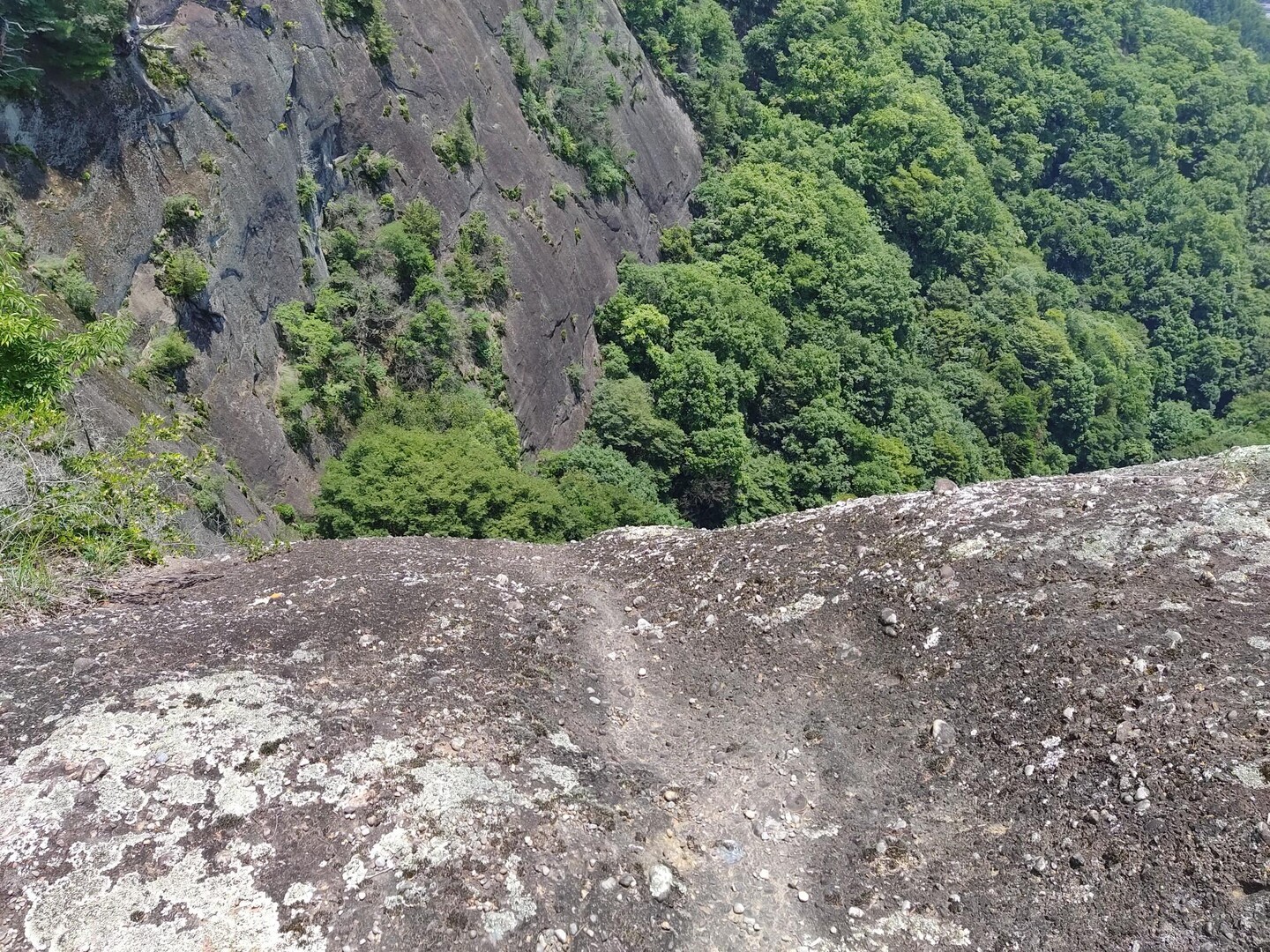 梅雨の晴れ間に岩殿山・天神山ぐるり1周 / kummyさんの雁ヶ腹摺山・岩殿山の活動データ | YAMAP / ヤマップ