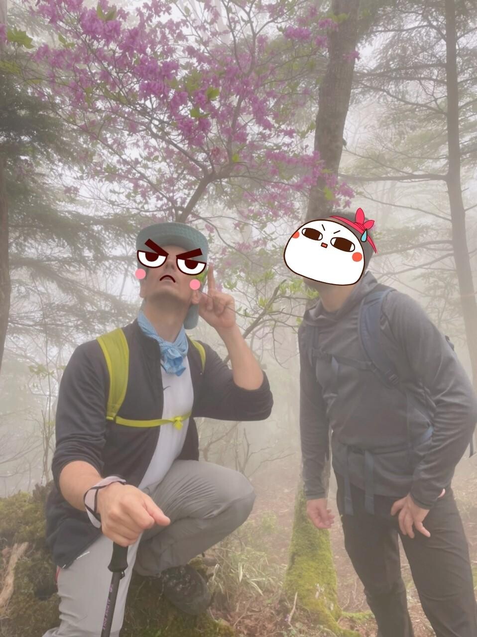 毛無山、雨ヶ岳 / Shishiさんのモーメント | YAMAP / ヤマップ