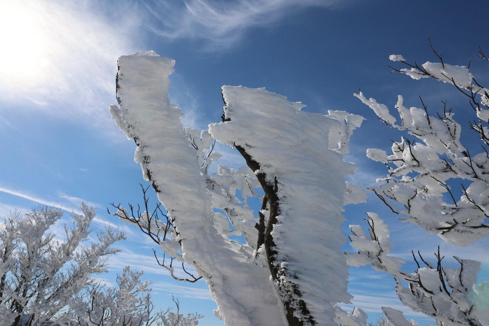 高見山、白と青の世界♡💙 / kayo♪さんの高見山・黒石山・天狗山の活動日記 | YAMAP / ヤマップ