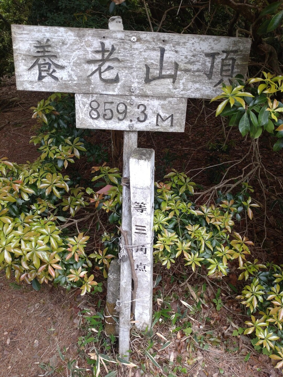 三方山・小倉山・養老山・北尾根P826峰 / ks104478さんの養老山・笙ヶ岳・三方山の活動データ | YAMAP / ヤマップ