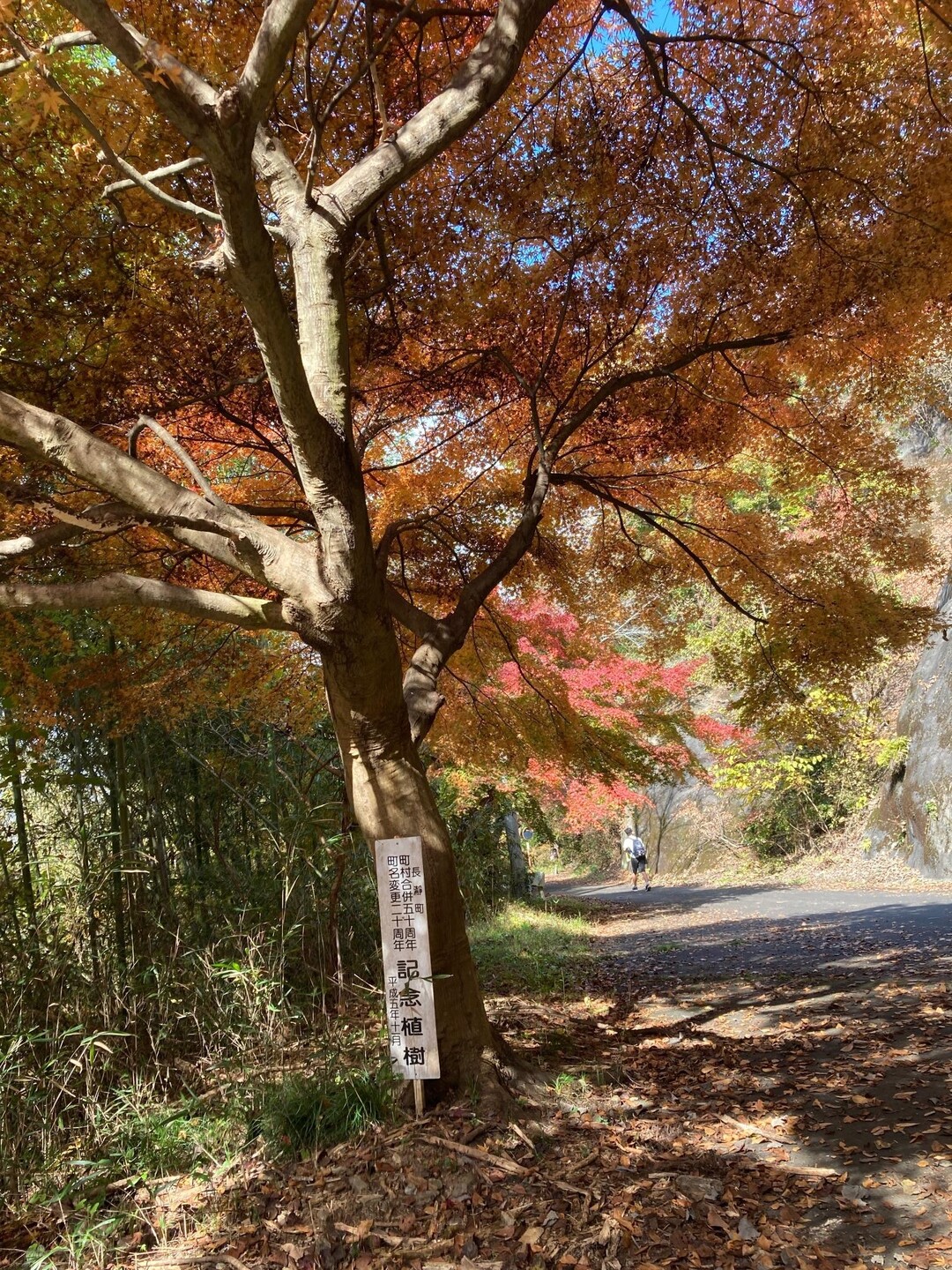 秩父路峠道ハイキング（野上駅〜波久礼駅） / rumixさんの宝登山・長瀞アルプス・不動山・陣見山・鐘撞堂山の活動日記 | YAMAP / ヤマップ