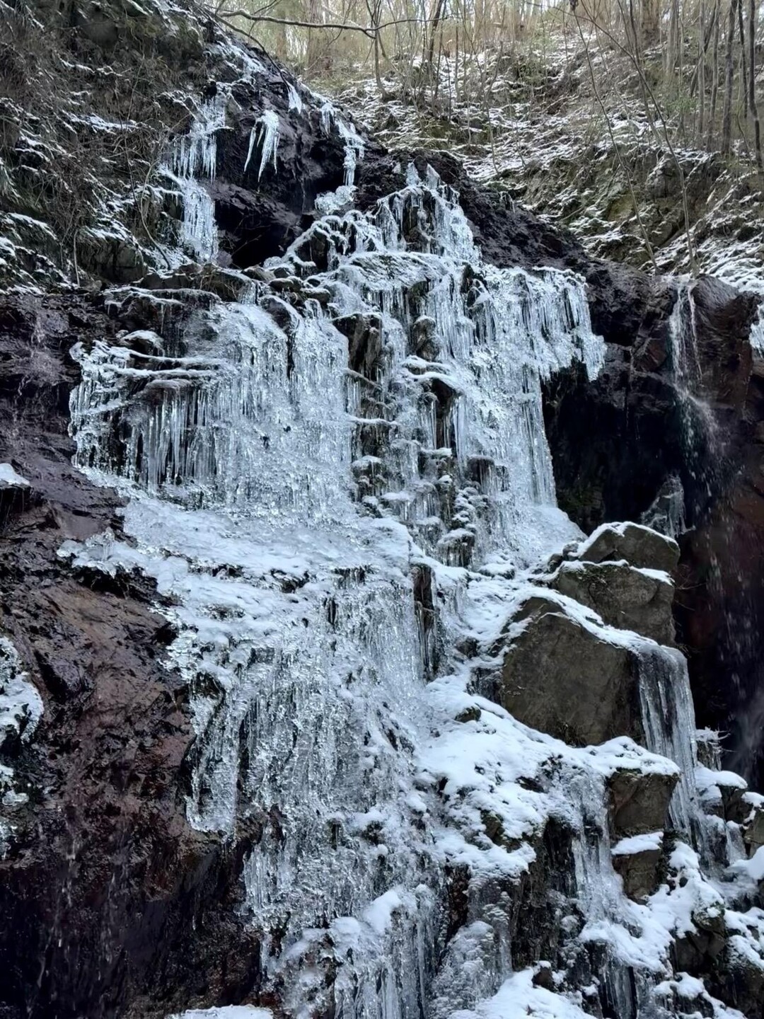 裏六甲・氷瀑2025-01-12 / meg.さんの六甲山・長峰山・摩耶山の活動データ | YAMAP / ヤマップ