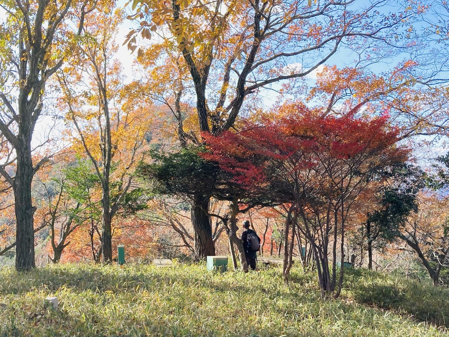 満天星紅葉の雄鷹台山から坂越アルプス周回 / masa599さんの雄鷹台山の活動データ | YAMAP / ヤマップ