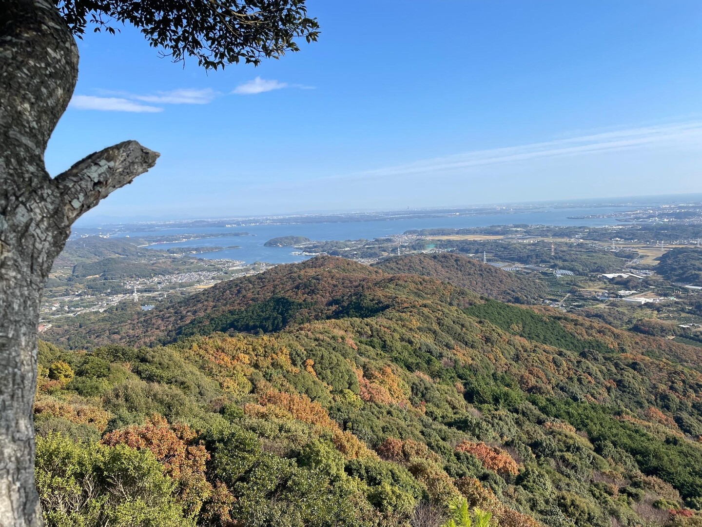 ビオトープ～多米林道～神石山 / shuさんの坊ヶ峰・石巻山・神石山・葦毛湿原の活動データ | YAMAP / ヤマップ