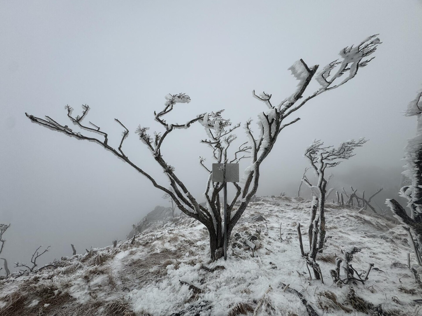 低体温症の大晦日 市房山142/200 / タクミさんの市房山の活動日記 | YAMAP / ヤマップ