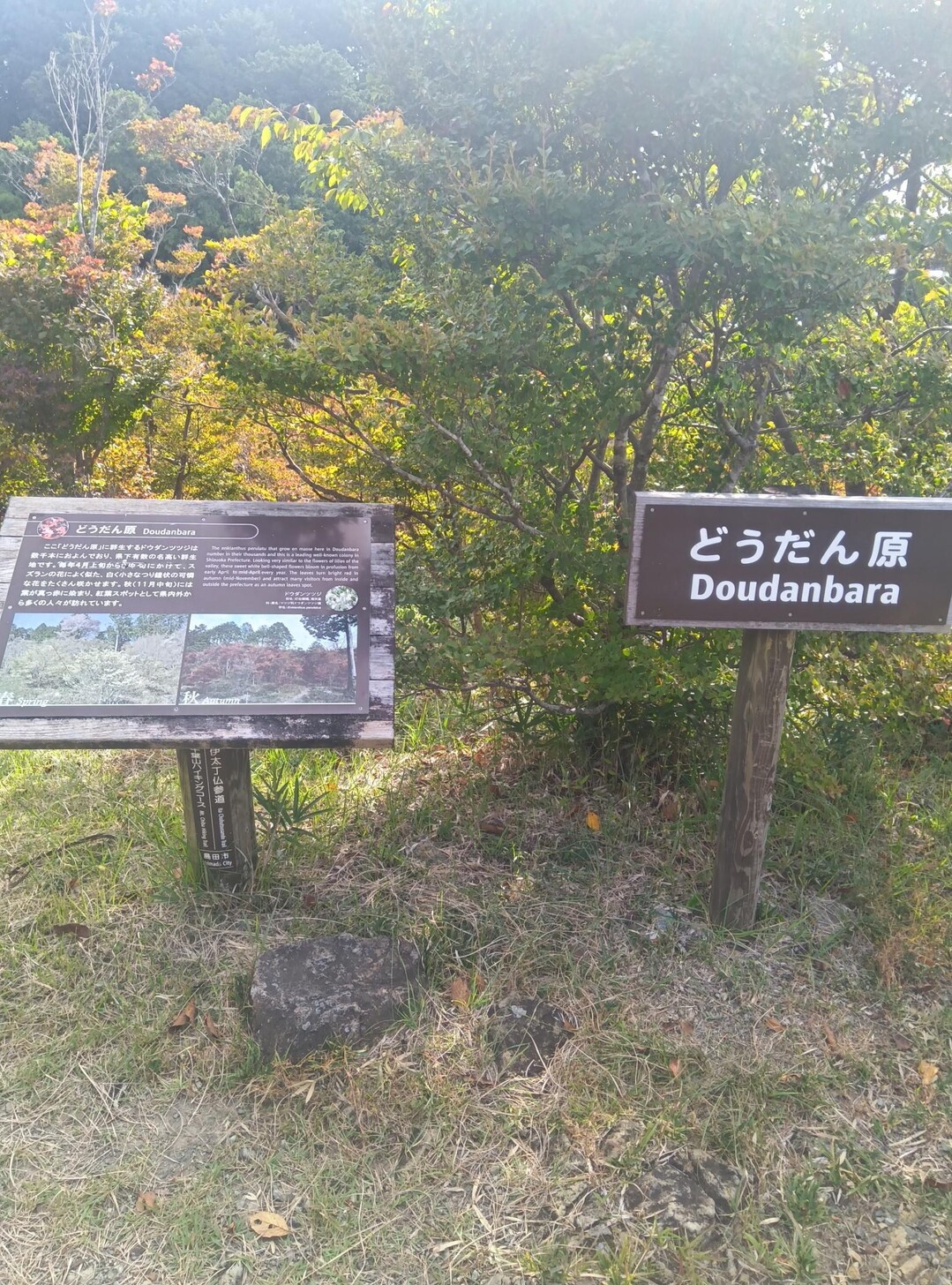 矢倉山&智満寺 / sky highさんの千葉山・白岩寺山の活動データ | YAMAP / ヤマップ
