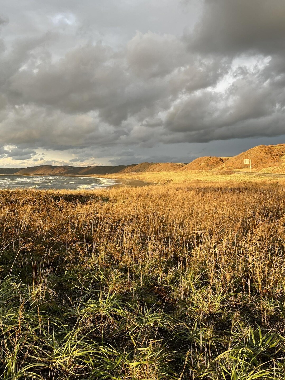 2022.10.17(月) 08:51 / ぶるさんのモーメント | YAMAP / ヤマップ