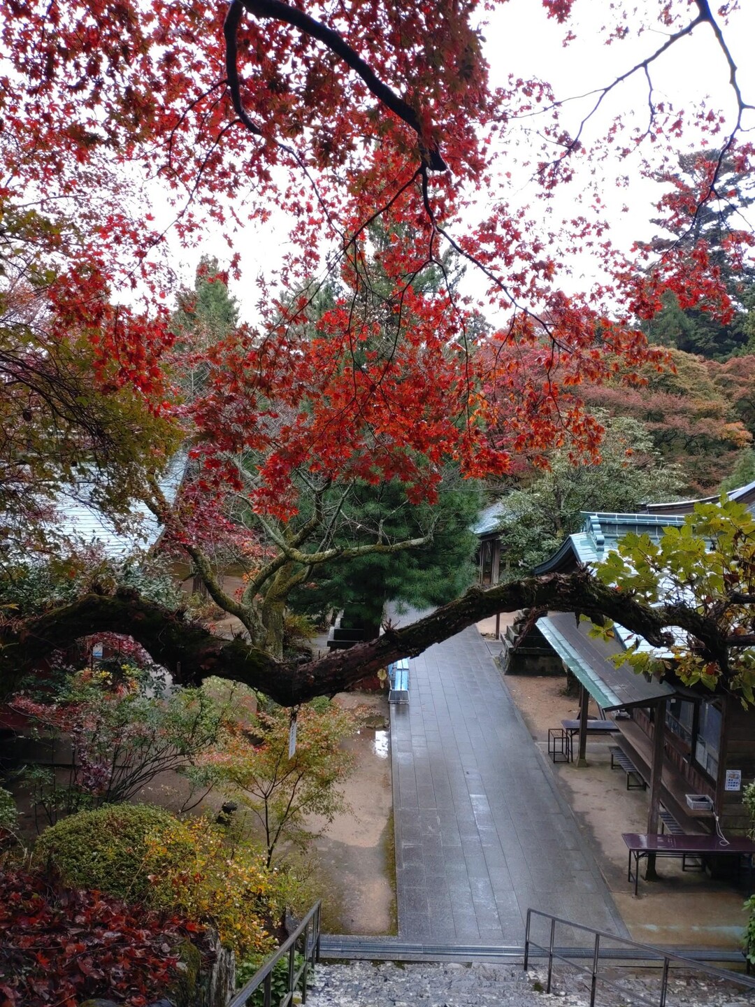四国82番 根香寺(ねごろじ) / potiさんの四国遍路その20の活動データ | YAMAP / ヤマップ