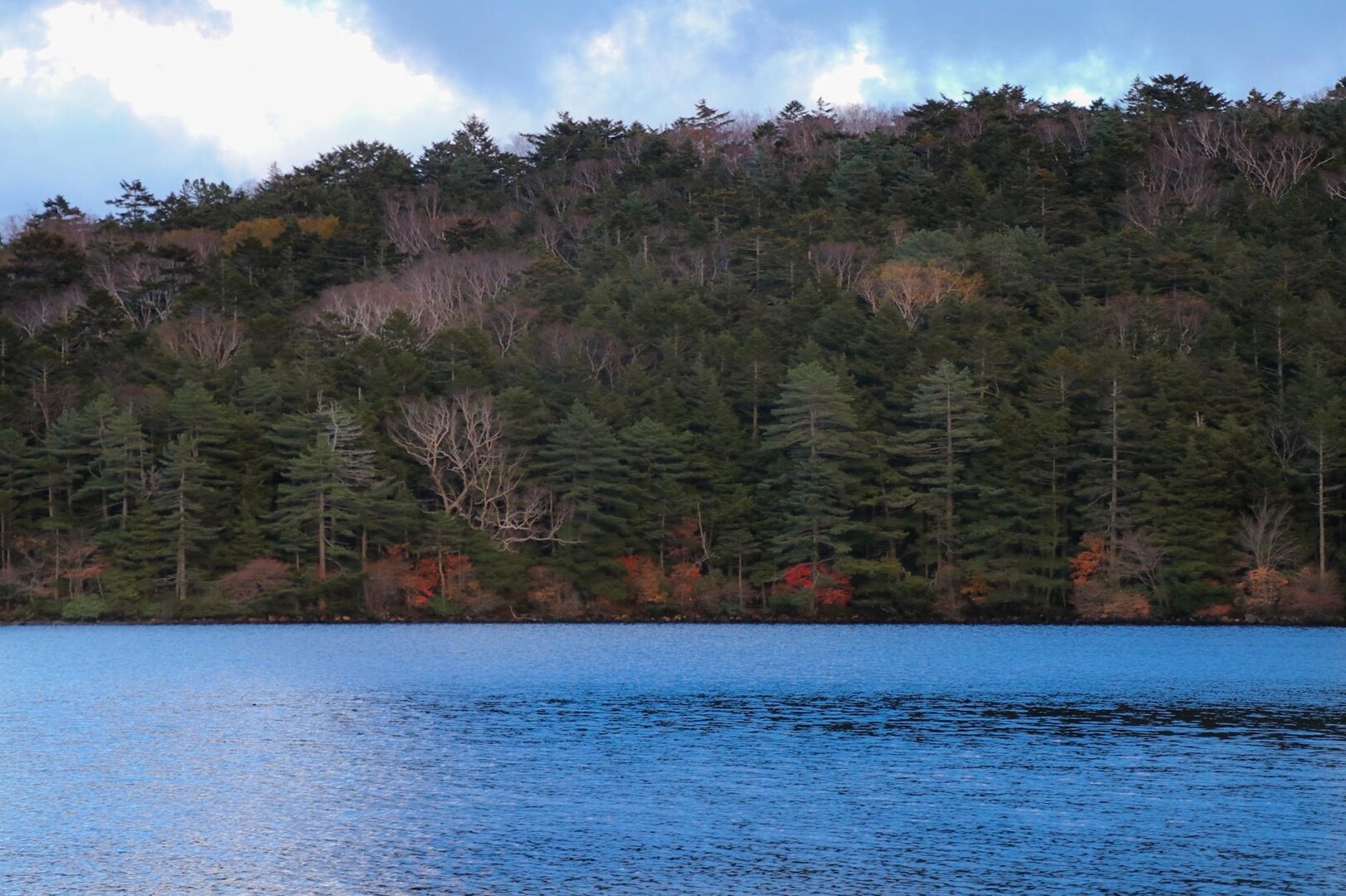 白駒池〜ニュウゆるハイク / nanaさんの八ヶ岳（赤岳・硫黄岳・天狗岳）の活動データ | YAMAP / ヤマップ