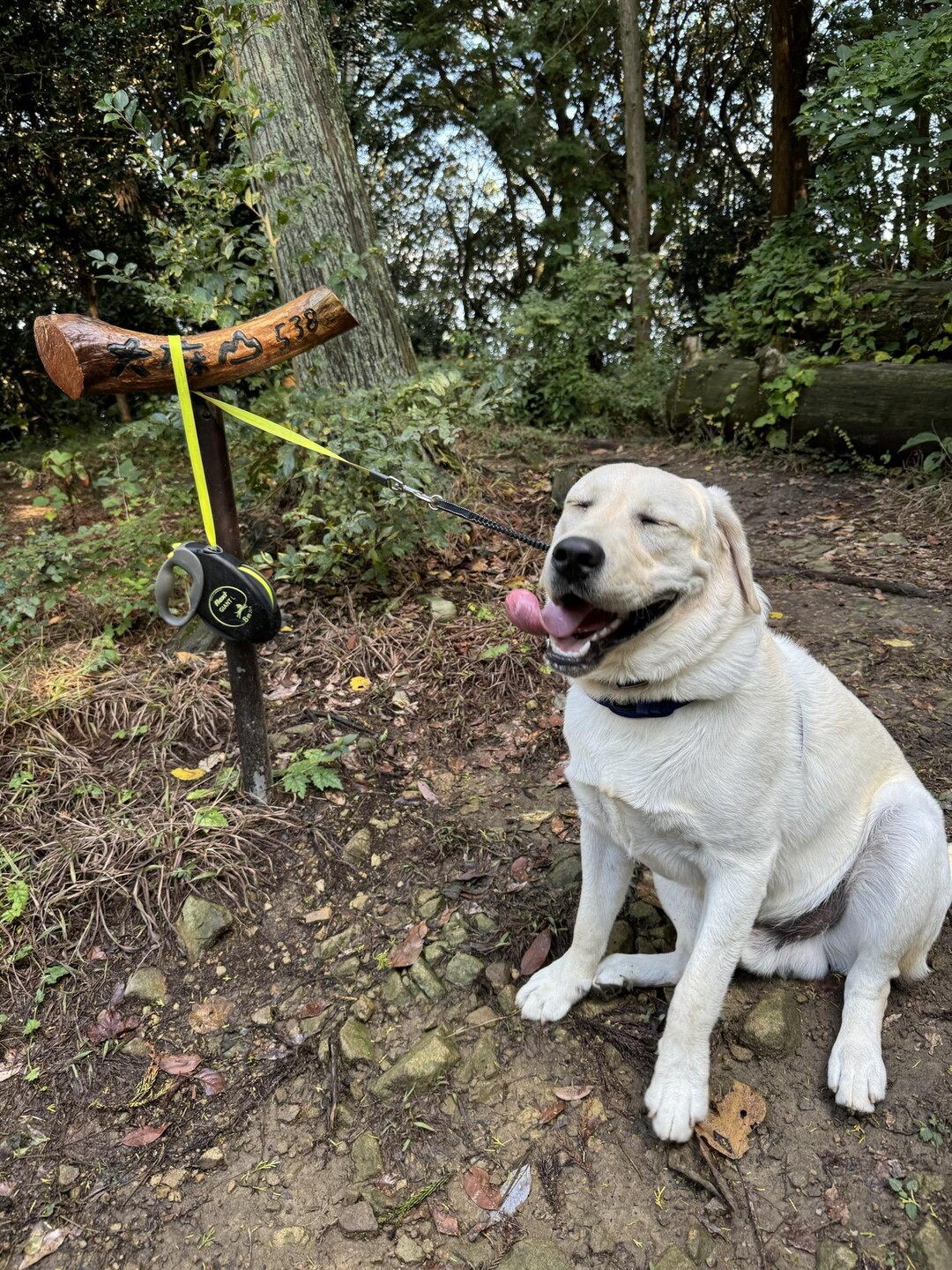 10回目の大麻山 / marukoさんの大麻山・天円山の活動データ | YAMAP / ヤマップ