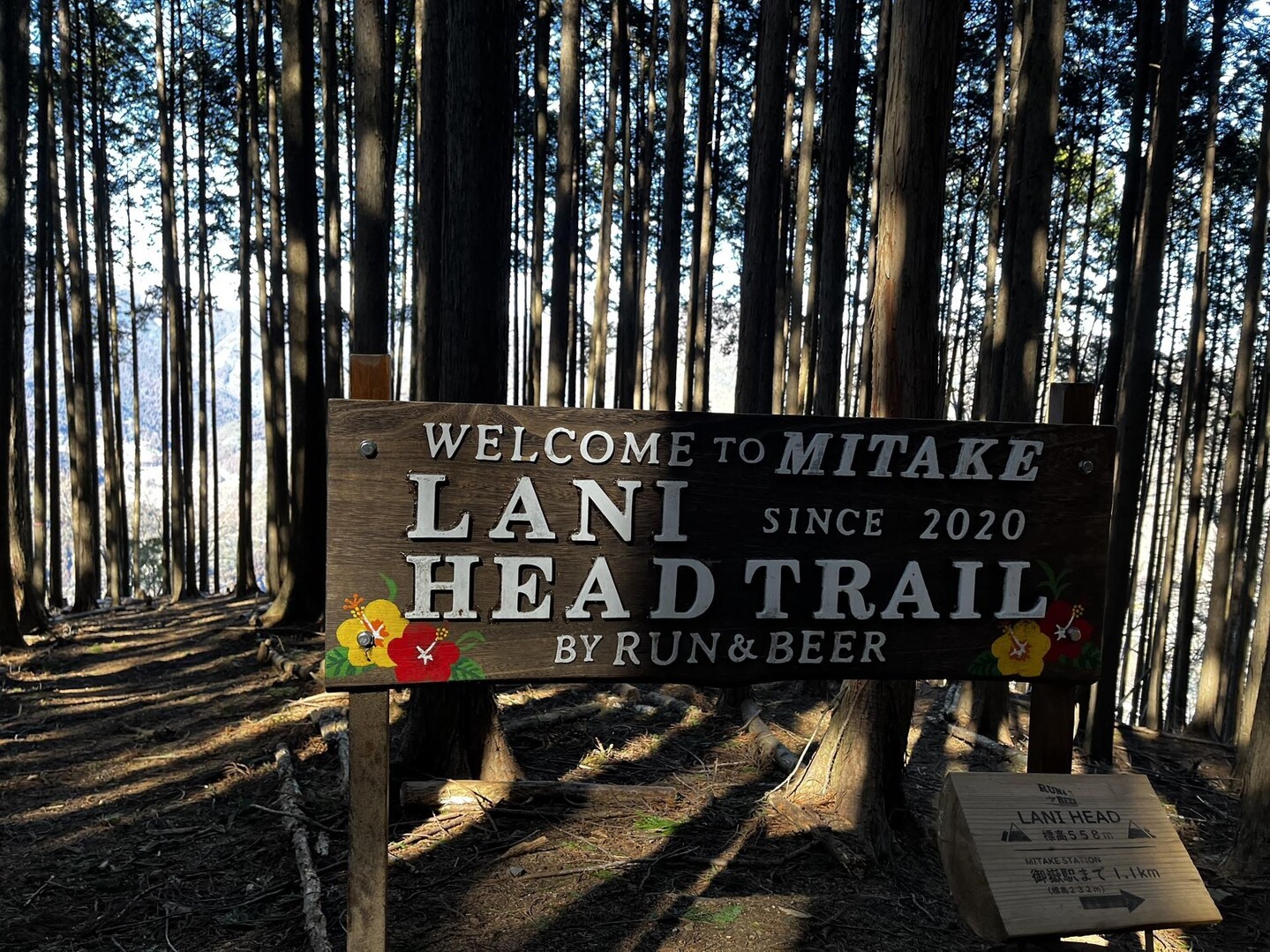 LANI HEAD TRAIL行きました / かげさんさんの高水山・岩茸石山・惣岳山の活動データ | YAMAP / ヤマップ