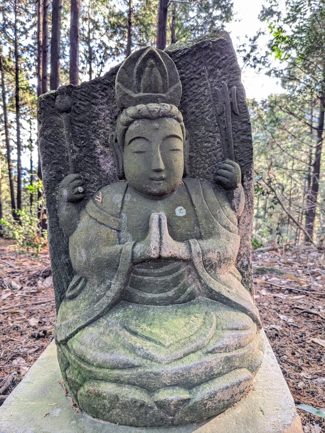 石垣地区 尾根探索 / mkhkさんの高良山・発心山・鷹取山の活動データ | YAMAP / ヤマップ