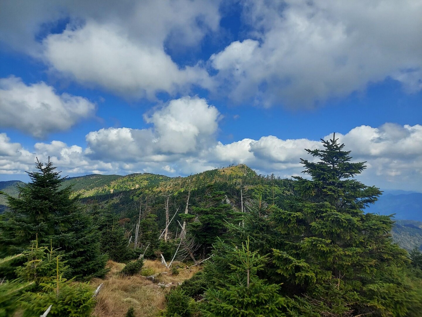 天川川合～天女の舞・弥山・八経ヶ岳 / ree-koさんの八経ヶ岳の活動データ | YAMAP / ヤマップ