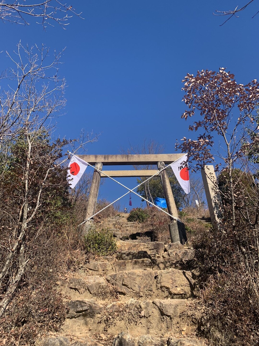 2024年初登り / Marco pagot さんの各務原アルプス（関南アルプス）・八木三山の活動データ | YAMAP / ヤマップ