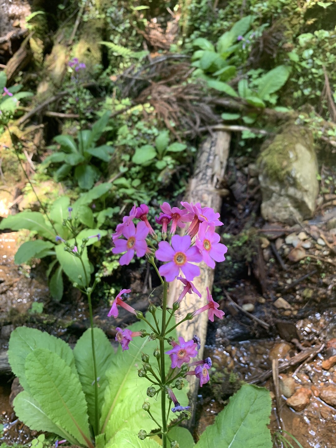 Andytakaさんの投稿したフィールドメモ | YAMAP / ヤマップ