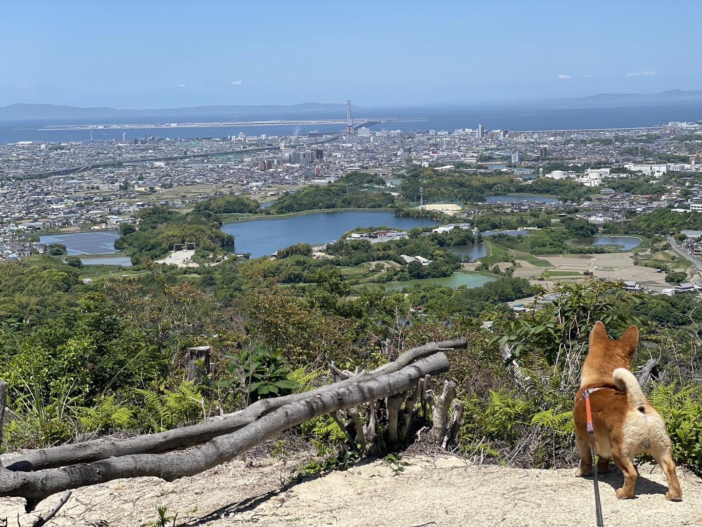雨山 / monさんの雨山の活動データ | YAMAP / ヤマップ