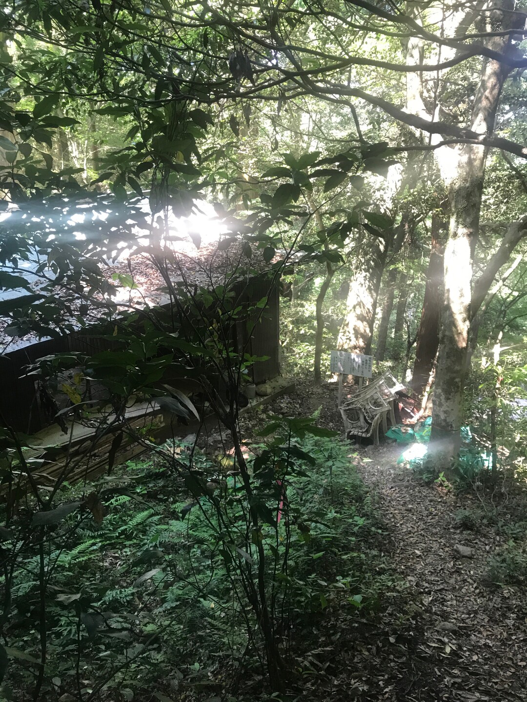 Shimaさんの投稿したフィールドメモ | YAMAP / ヤマップ