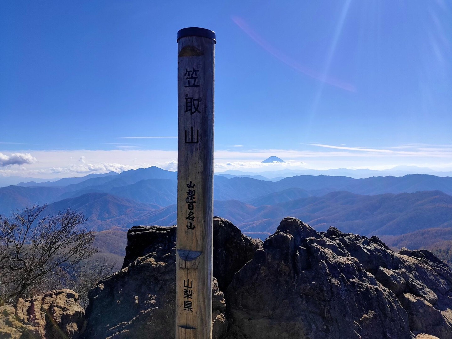 笠取山 / cyさんの和名倉山・笠取山・東仙波の活動データ | YAMAP / ヤマップ