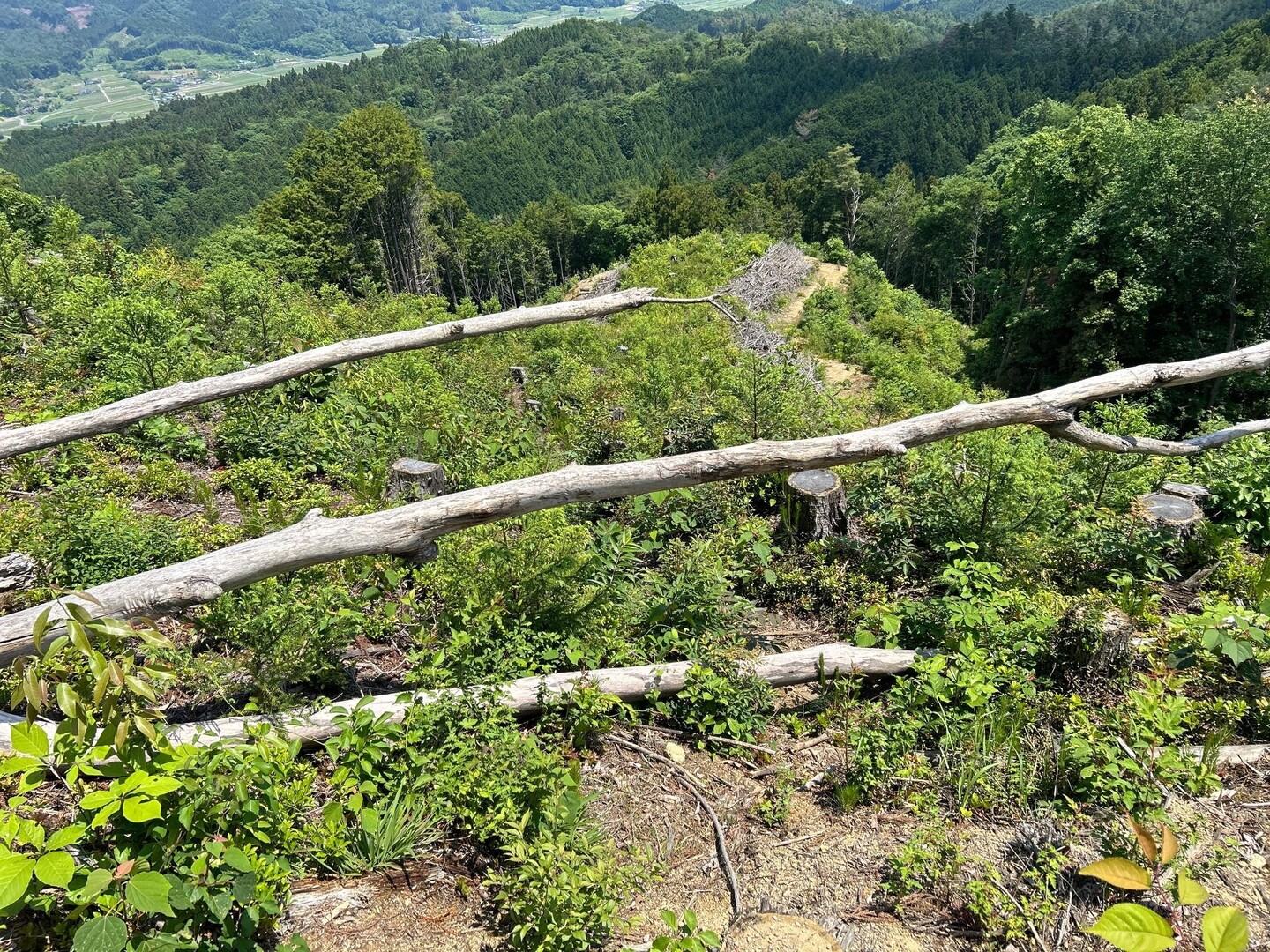 八助 (Yasuke)さんの投稿したフィールドメモ | YAMAP / ヤマップ