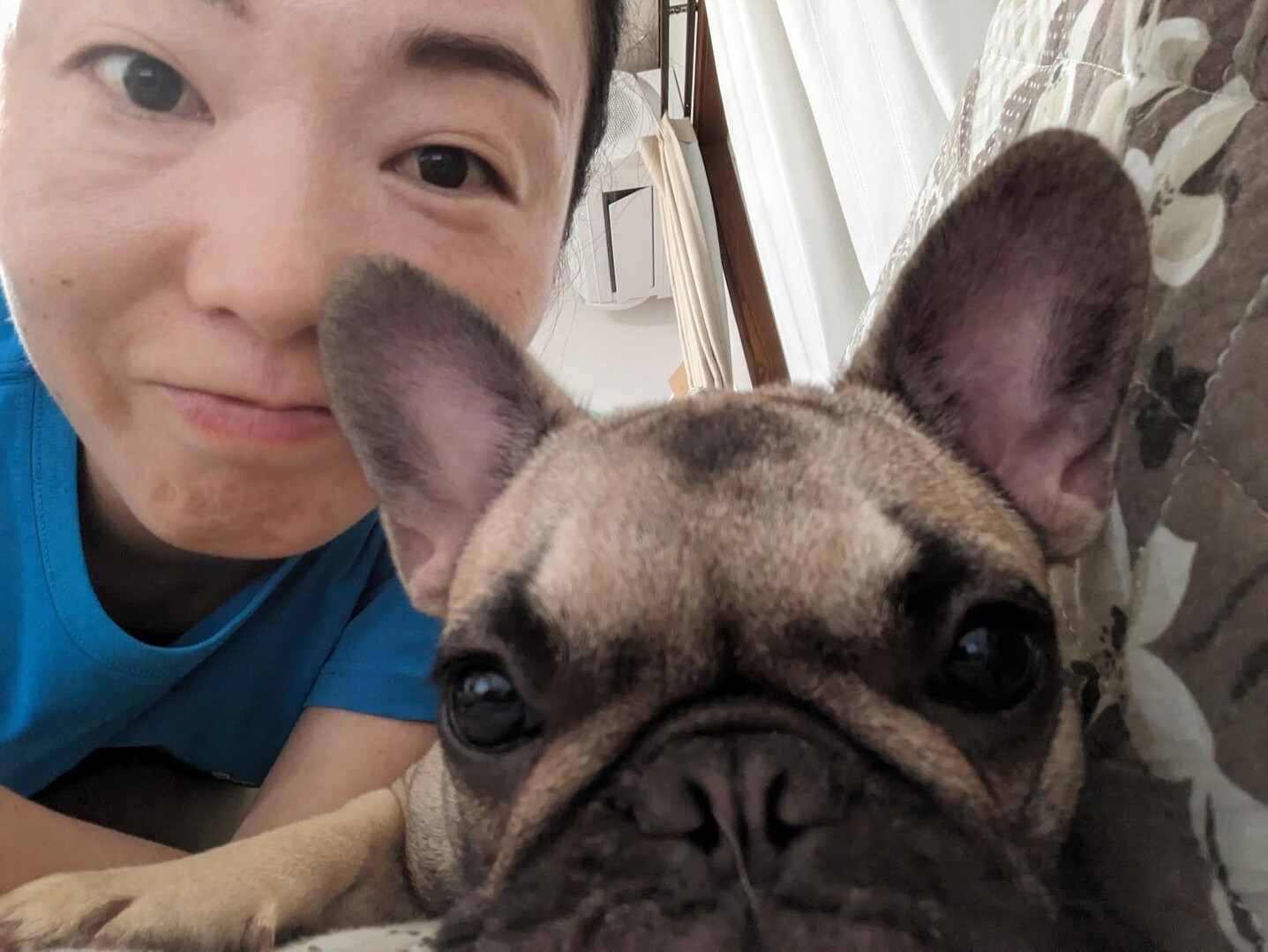 Lilyのページ | YAMAP / ヤマップ