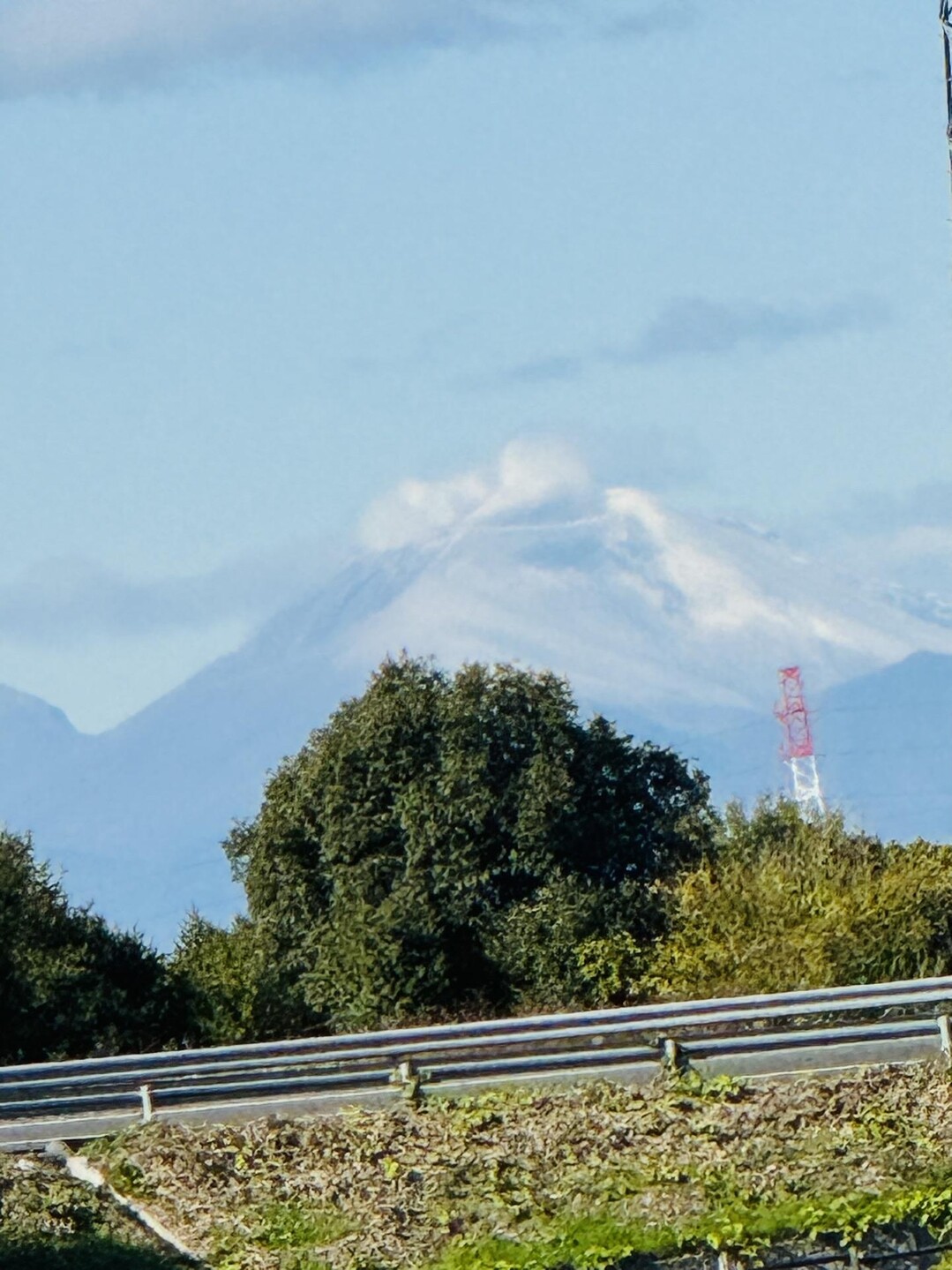 木枯らしに敗れるG / ｺﾖｩﾃ(coyote)さんの金山（新田金山）・八王子丘陵の活動データ | YAMAP / ヤマップ