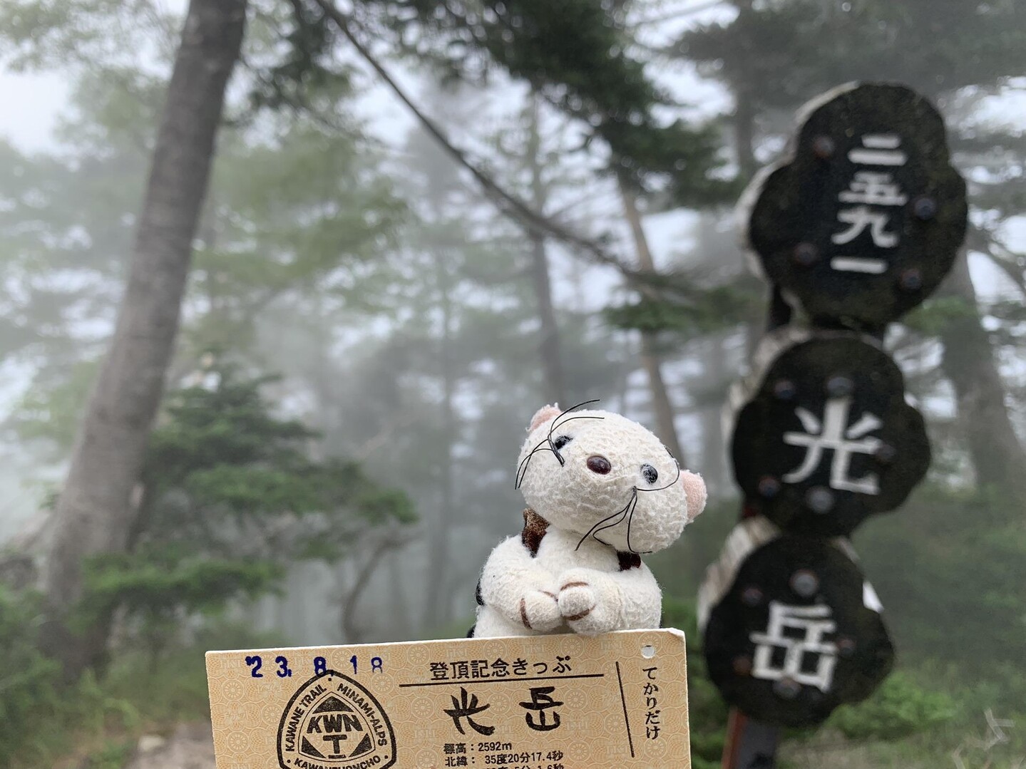 光岳 南アルプス深南部 / ARさんの聖岳・大沢岳・光岳の活動データ | YAMAP / ヤマップ