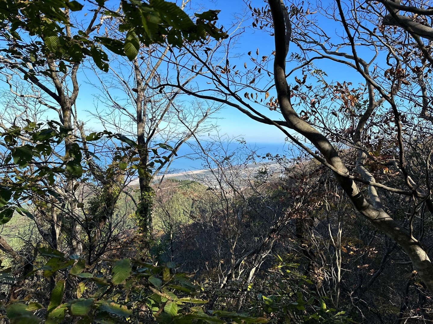 片平山・角田山（長者原山） / moda -suさんの角田山の活動データ | YAMAP / ヤマップ