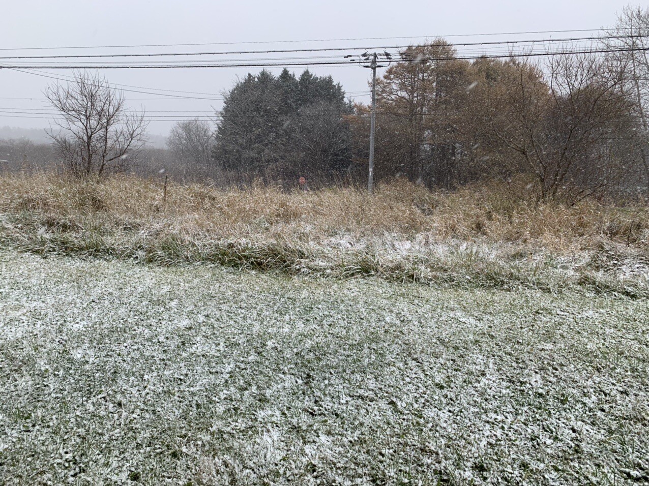 北海道各地で初雪 ️ 朝カーテン開けたら... / kan J.さんのモーメント | YAMAP / ヤマップ