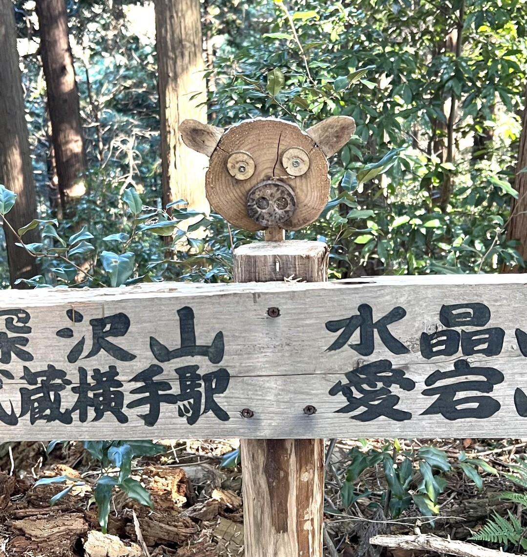 2023登り初め 日和田山 / SHOWさんの日和田山・物見山の活動データ | YAMAP / ヤマップ