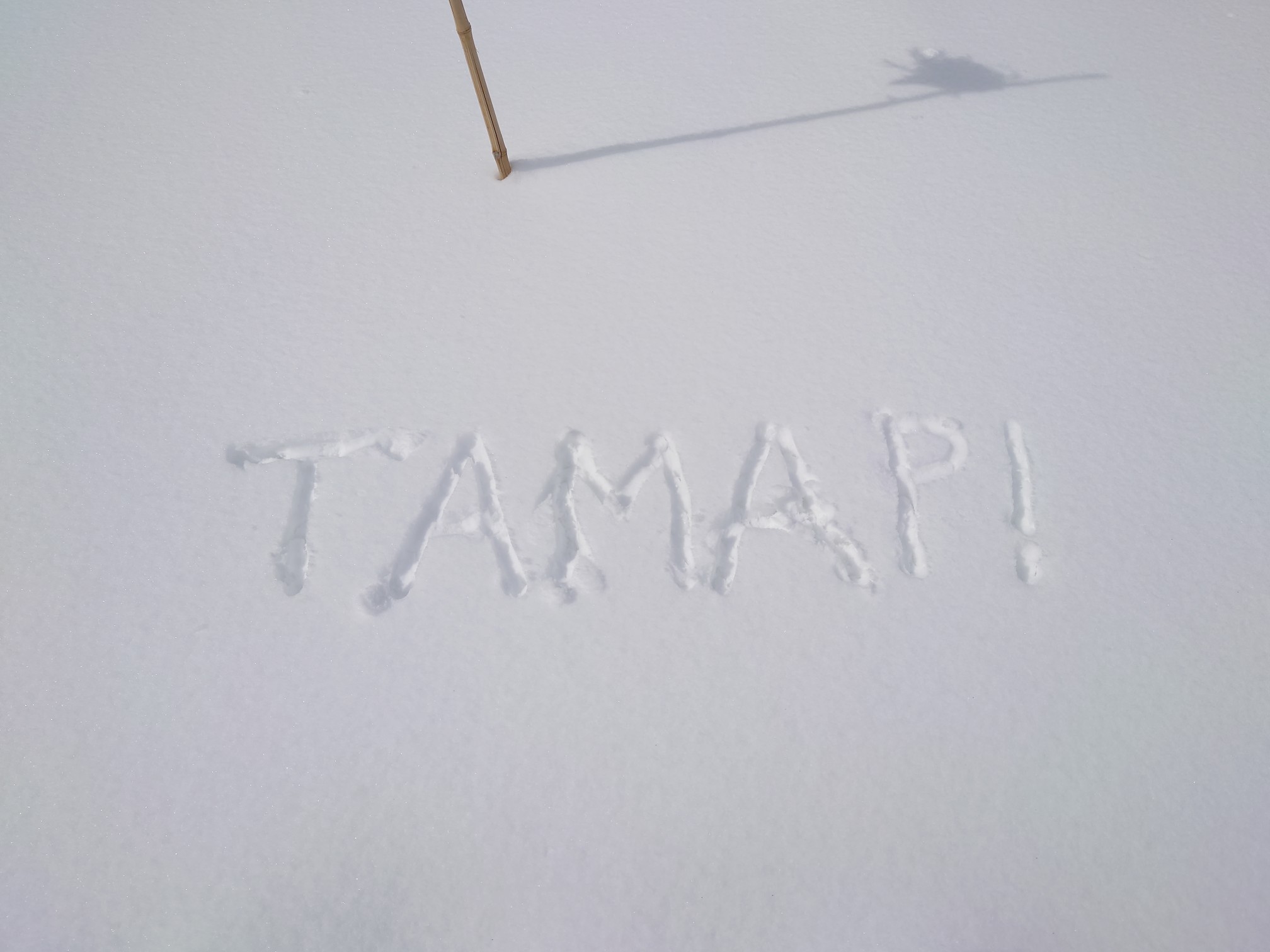 TAMAP！デビュー / まっすぐさんの十和田湖の活動データ | YAMAP / ヤマップ