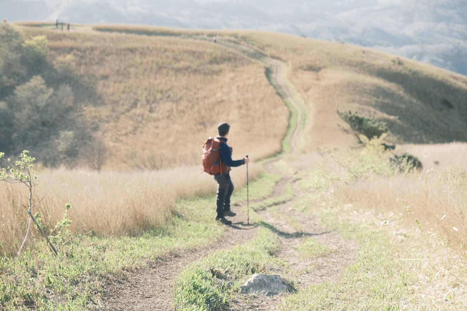 高速ハンガーノック 蒜山三座縦走 / setoumiさんの蒜山の活動データ | YAMAP / ヤマップ