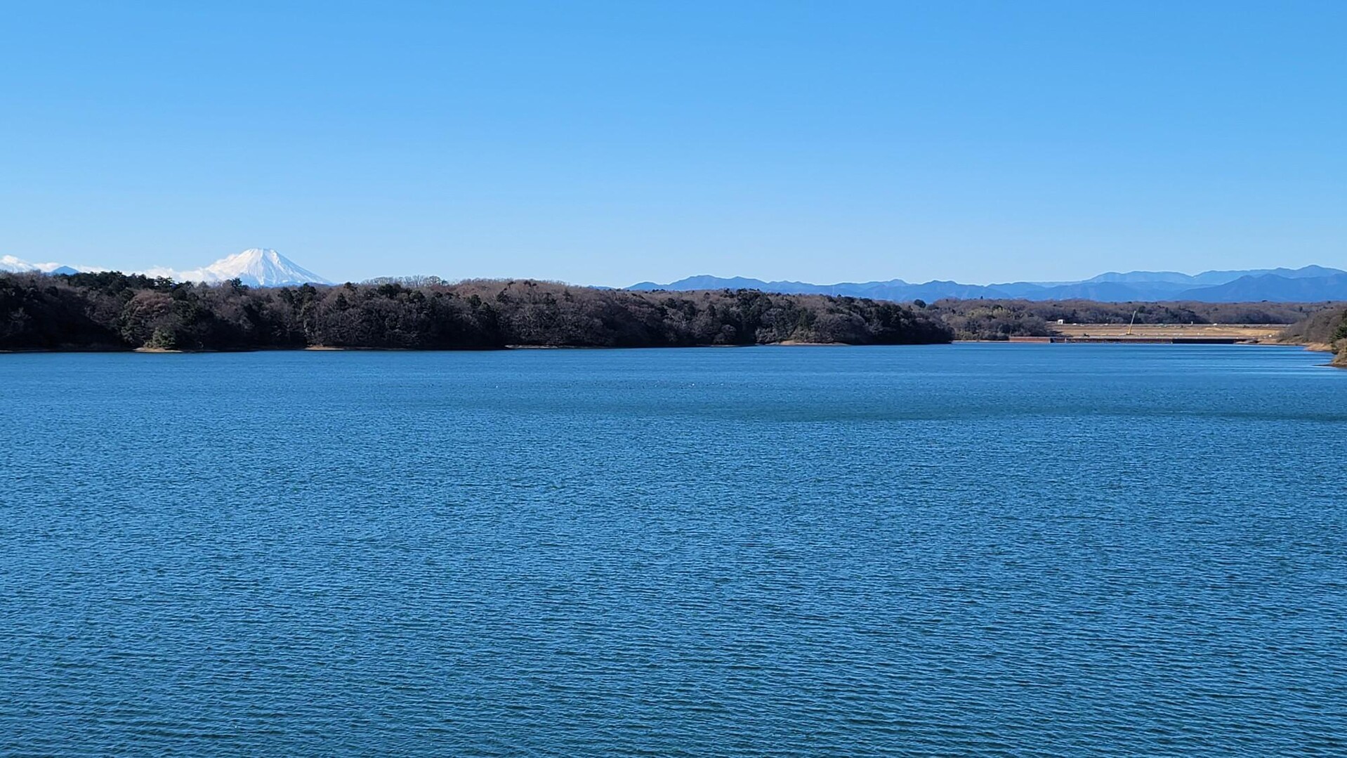 多摩湖ランニング🏃‍♂️ / TKさんのランニングの活動データ | YAMAP / ヤマップ