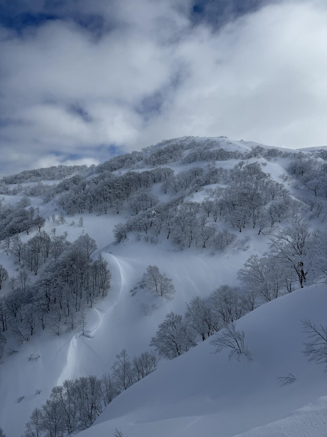 白木峰BC / yamaちゃんさんの金剛堂山の活動データ | YAMAP / ヤマップ