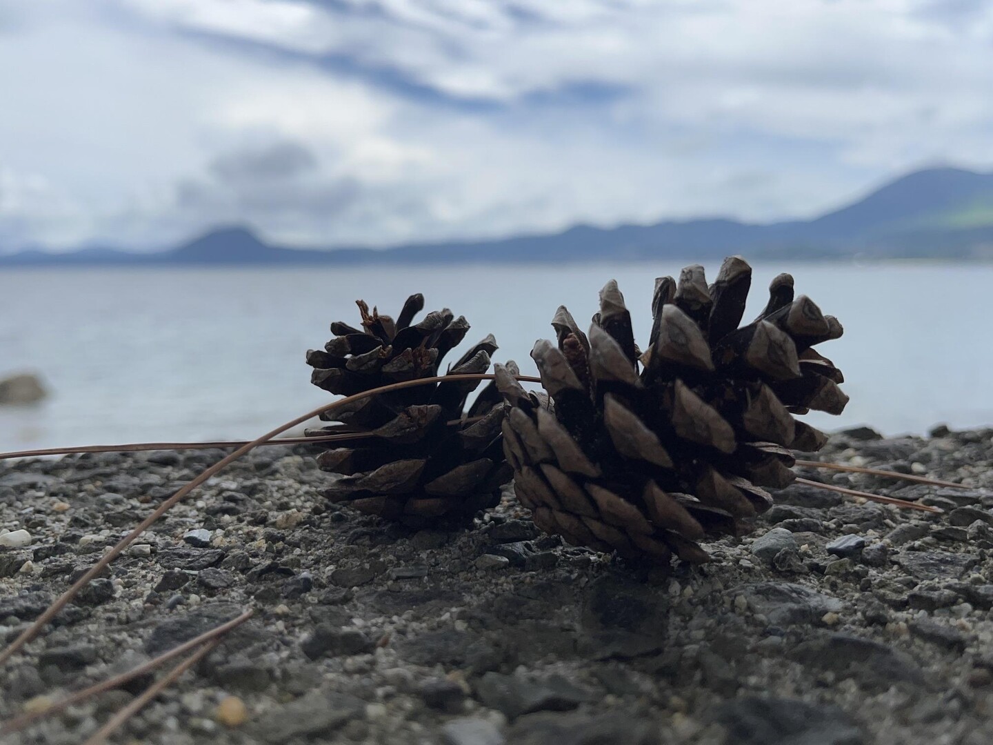 灼熱のウォーキング＆ラン-2023-07-30 / takaさんのウォーキングの活動データ | YAMAP / ヤマップ